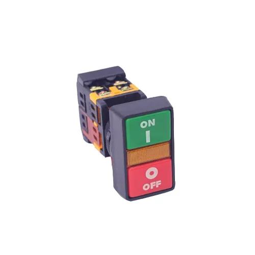 FORT DOUBLE PUSH BUTTON WITH LAMP 22/25/30MM SCB-220/230 | COMMAND ...